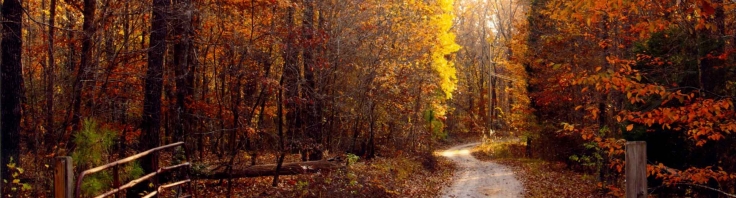 fall-photos-alabama_waller | Midland Resource Recovery